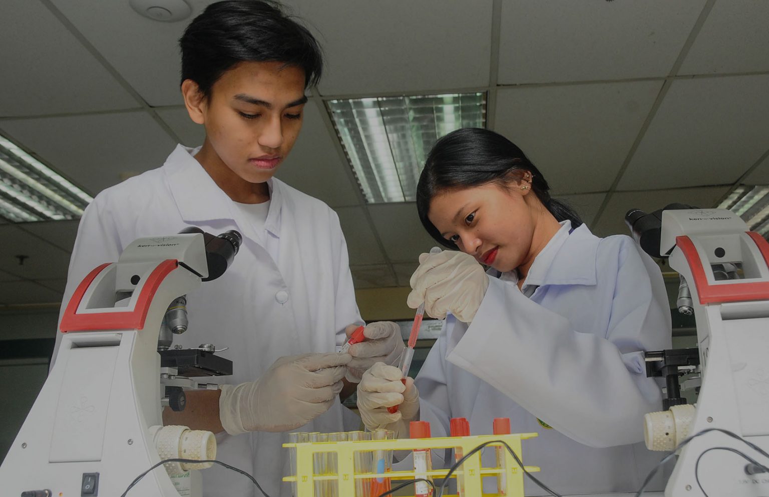 BS Medical Technology Degree Philippines